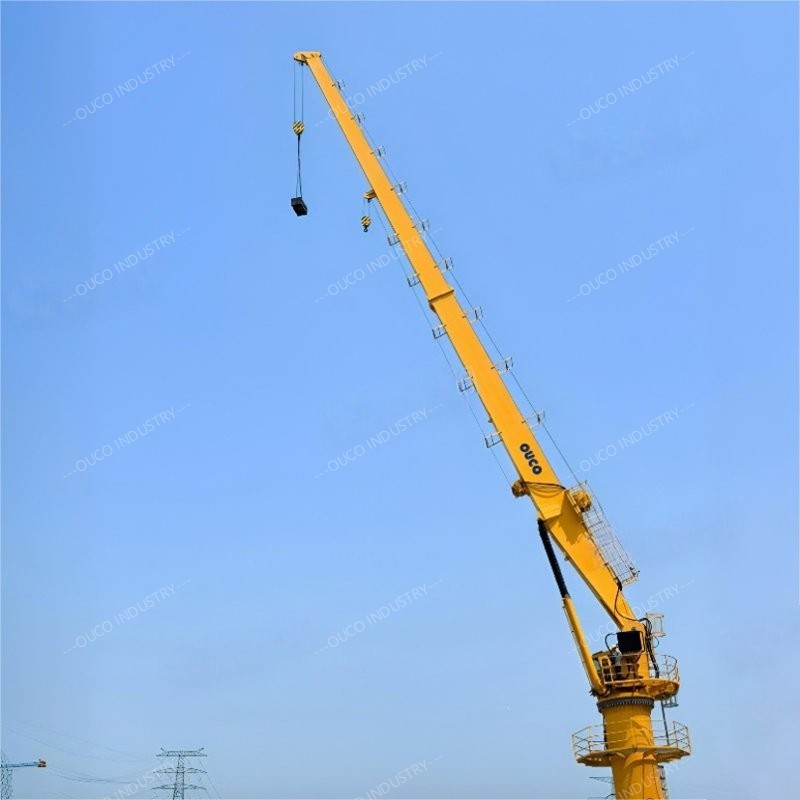 5T40M Fixed Boom Shipyard Crane